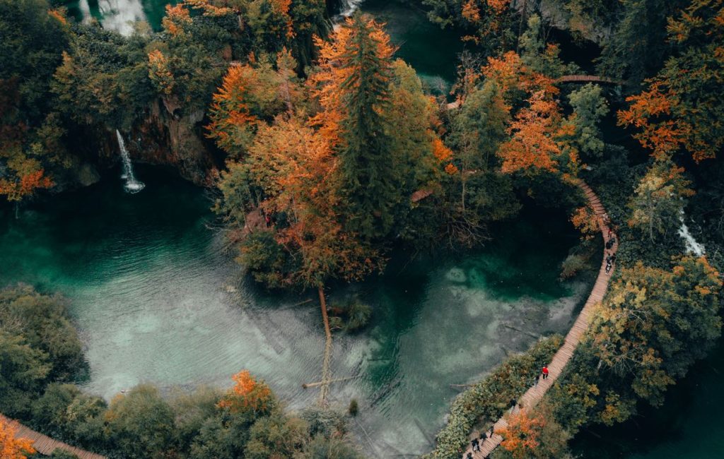 Odio Utsem Nulla Pharetra Diam Sitametnisl Elementum – SAWA INTERNATIONAL